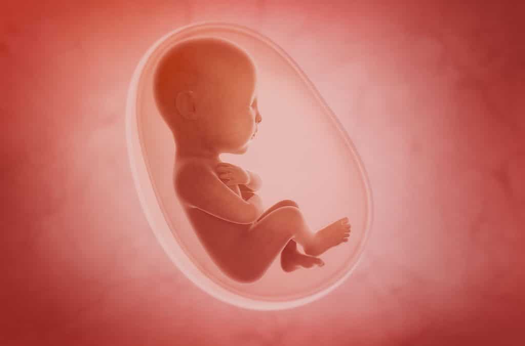 10 conceitos sobre o aborto