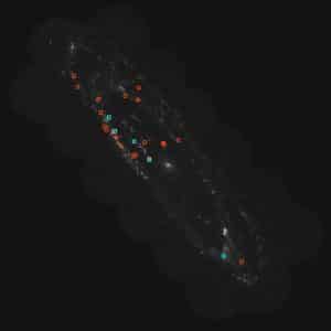 Astrônomos identificam 20 remanescentes de supernovas que emitem luz ...